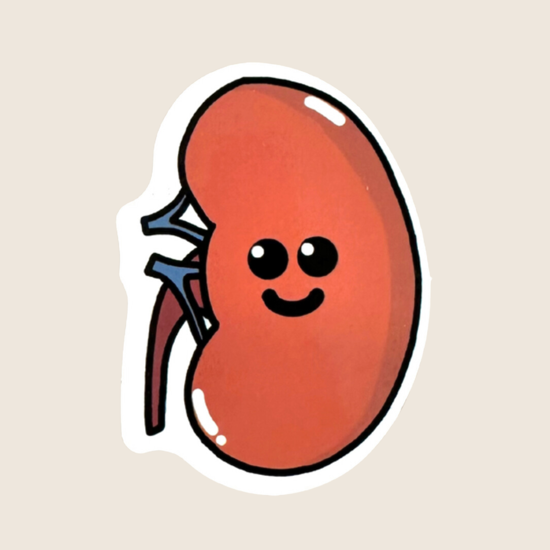 KIDNEY STICKER – The Front Line